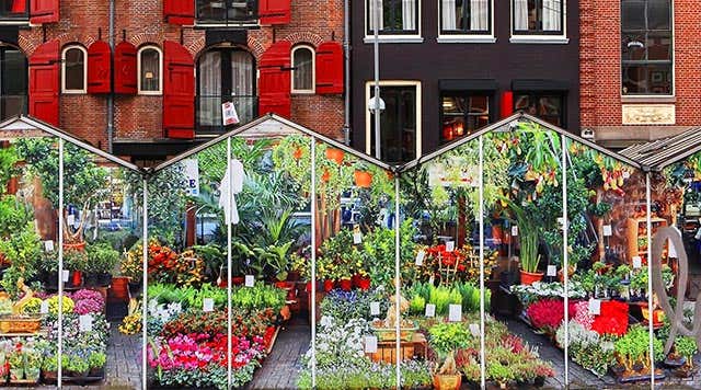 The Flower Market City Deep | Best Flower Site